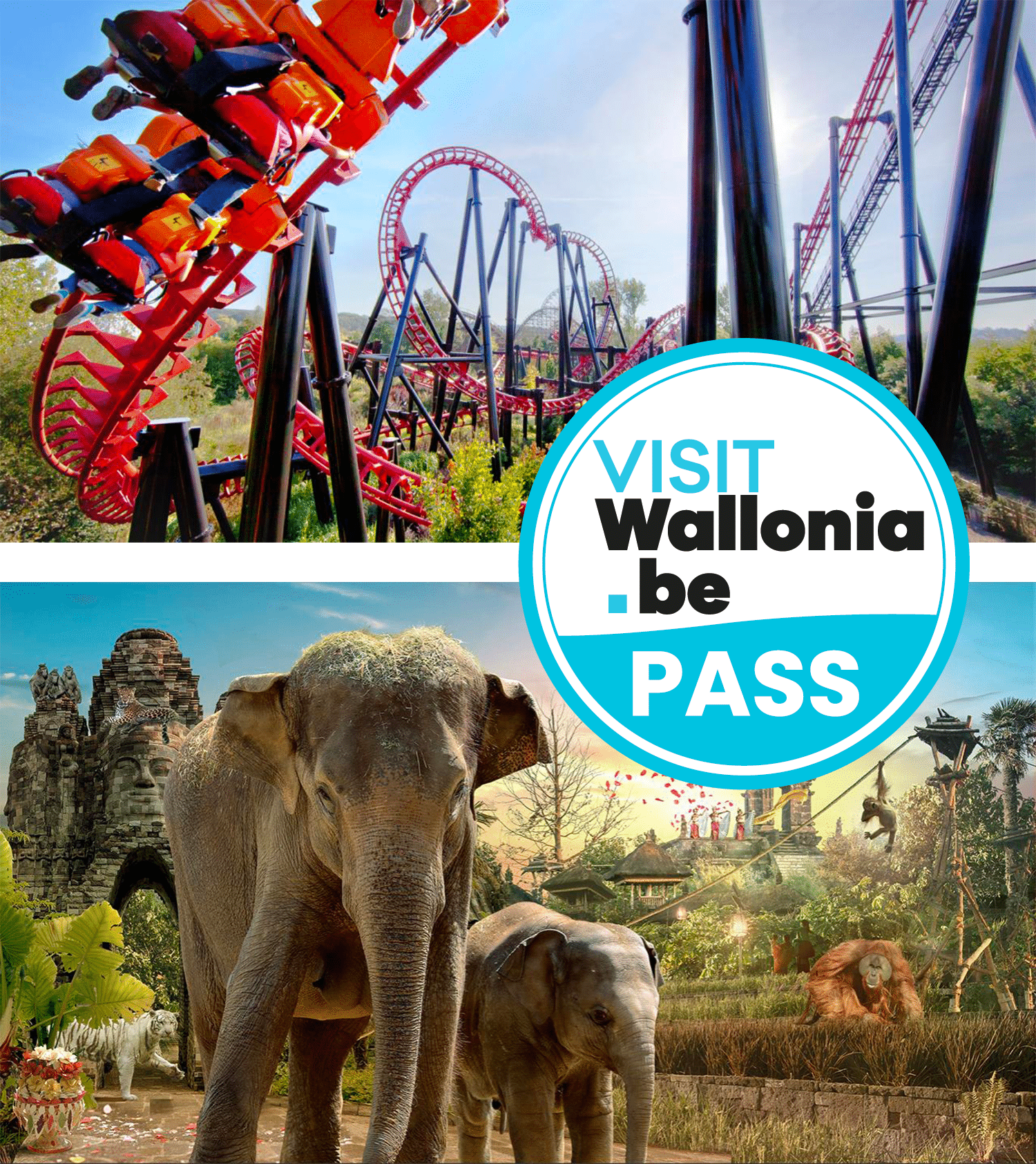 25.000 Pass touristiques gratuits (Entrées gratuites pour Pairi Daiza ...